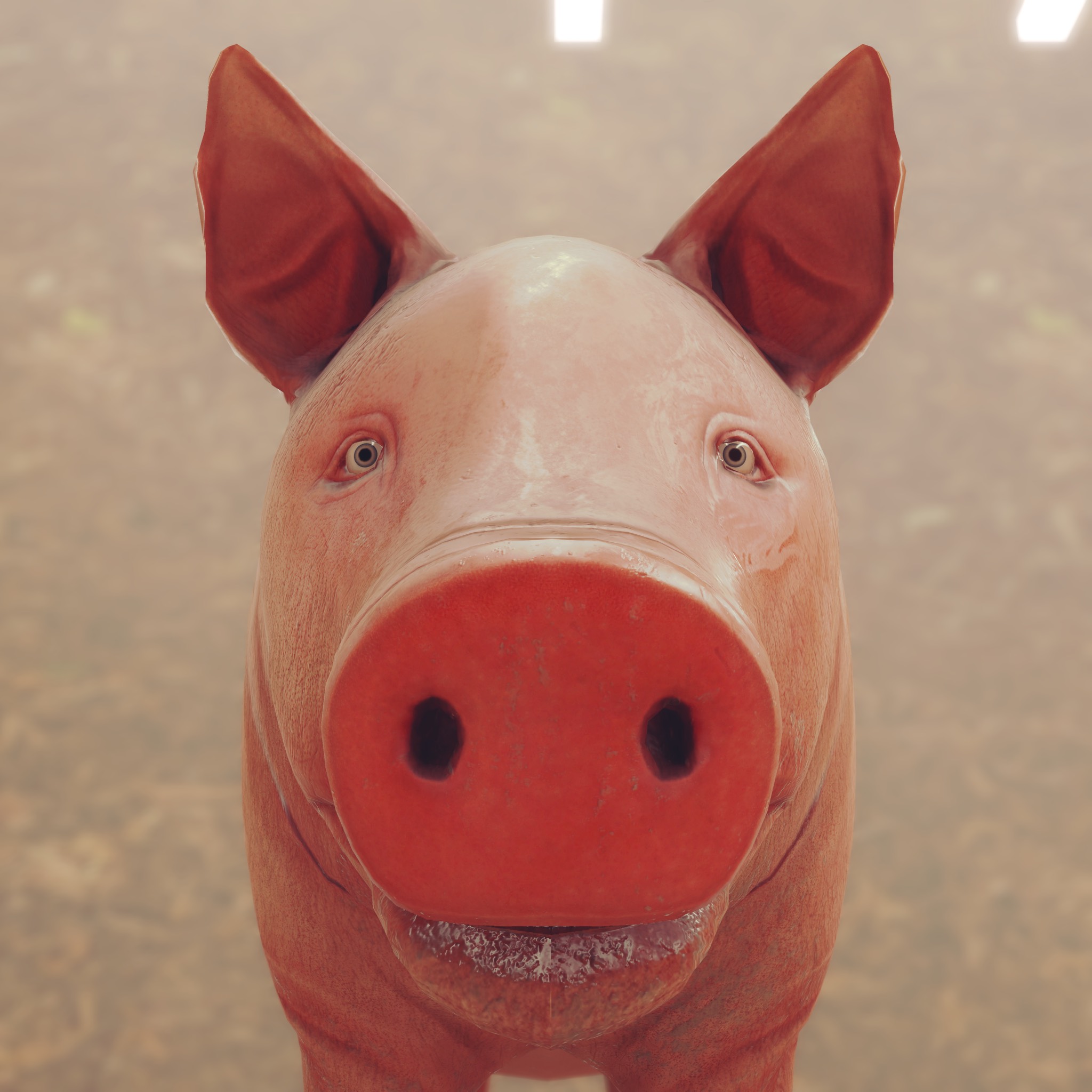 The Pig Simulator – Shared Habitats