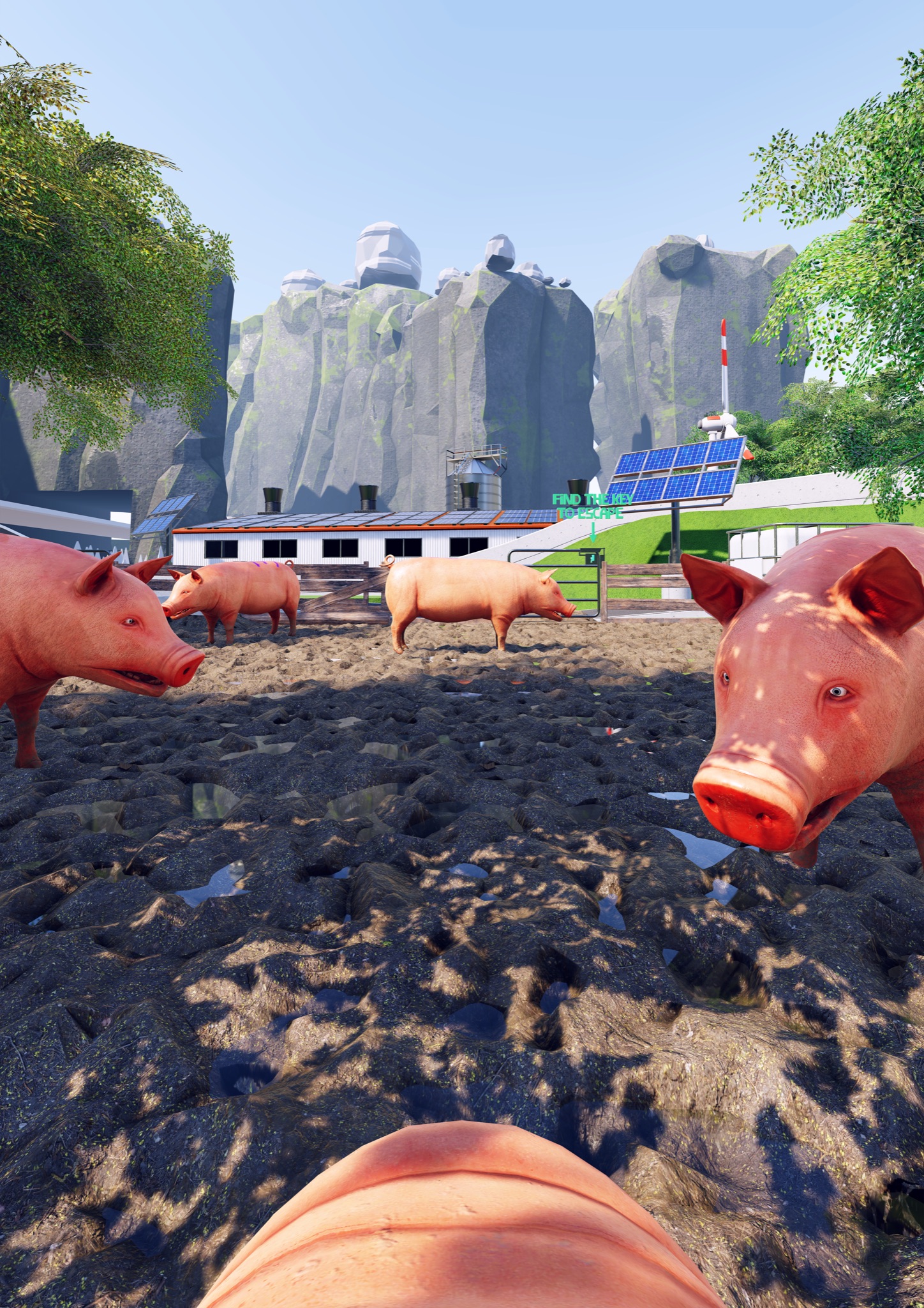 The Pig Simulator – Shared Habitats